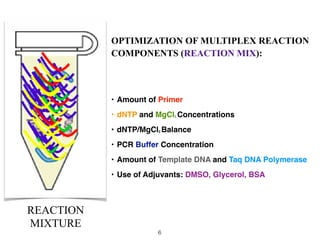 Multiplex PCR and its Applications | PDF