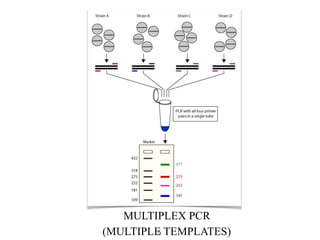 Multiplex PCR and its Applications | PPT