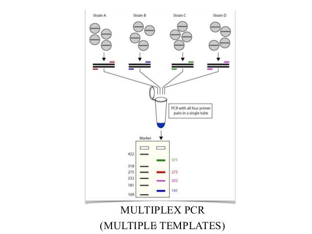Multiplex PCR and its Applications