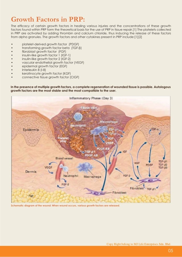 Powdered form of PRP (platelet rich plasma)