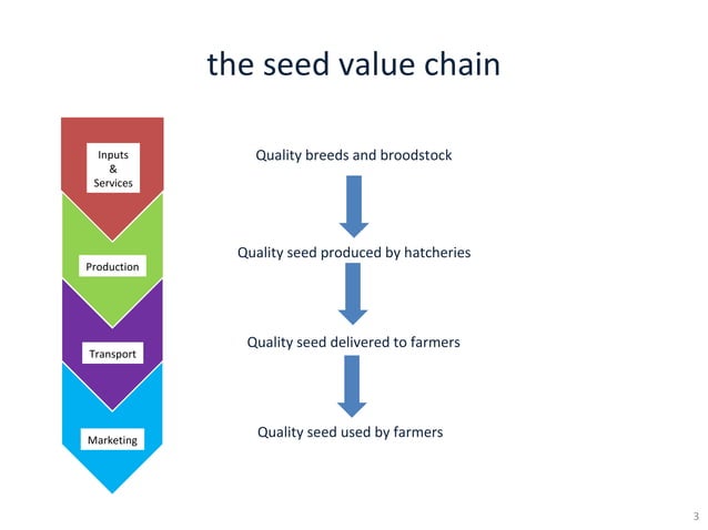 Aquaculture Value Chains | PPT | Agriculture | Industries