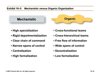 Organisational structure and design in management sciences | PPT
