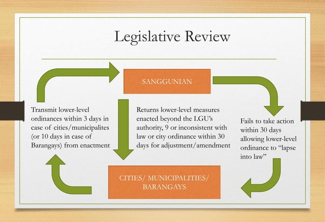The Local Legislative Process: Powers and Functions of the Sanggunian | PDF