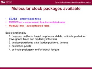 Estimation of divergence times | PPT