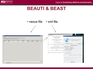 Estimation of divergence times | PPT