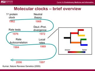 Estimation of divergence times | PPT