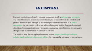 MEDICINAL PLANT BIOTECHNOLOGY-IMMOBILIZATION,MICROPROPAGATION-M.PHARM ...