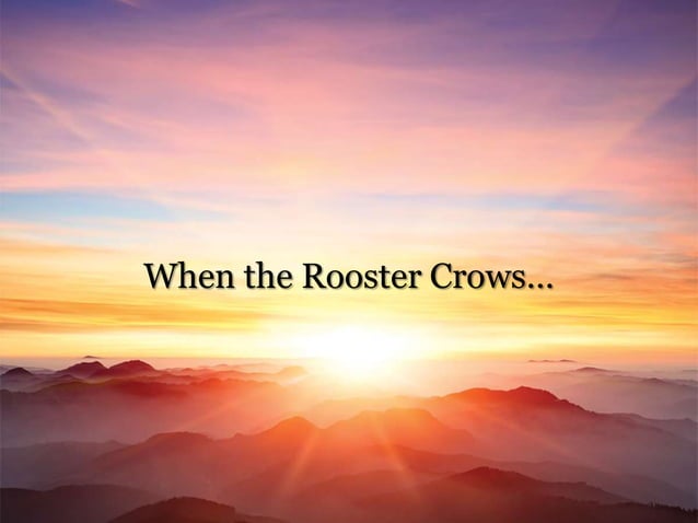 When the Rooster Crows | PPT