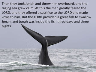 Jonah the Reluctant Disciple | PPT