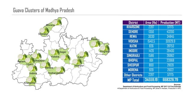 MP District Wise Data PPT.pdf | Agriculture | Industries