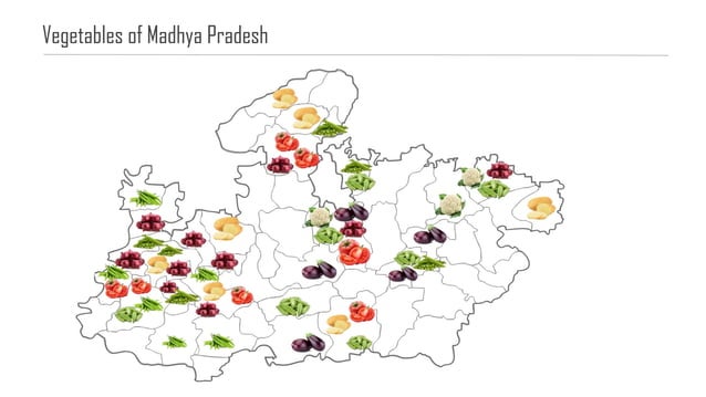 MP District Wise Data PPT.pdf | Agriculture | Industries