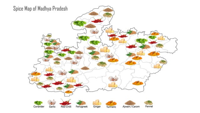MP District Wise Data PPT.pdf | Agriculture | Industries