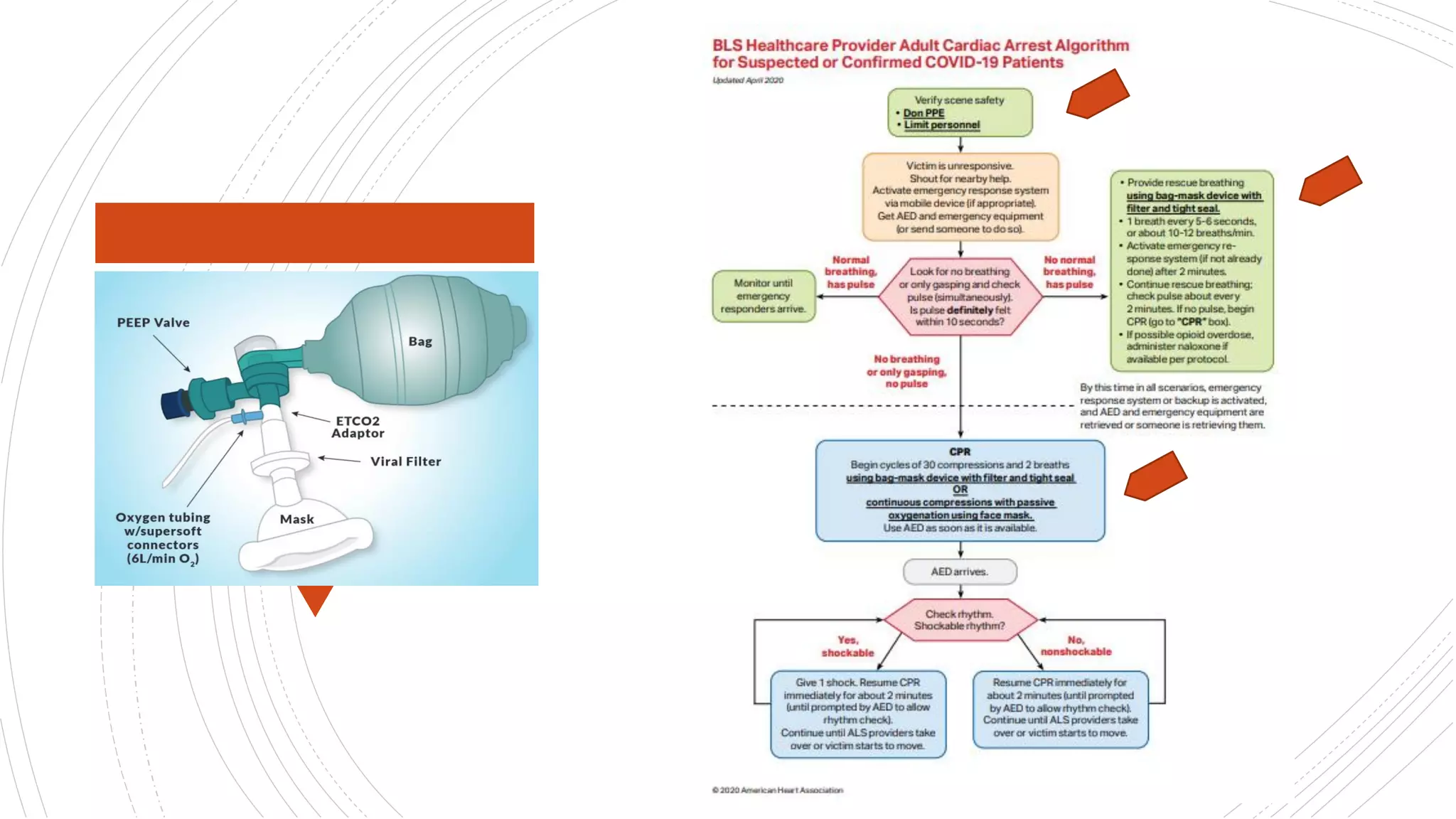 MPDU_Basic Life Support.pdf