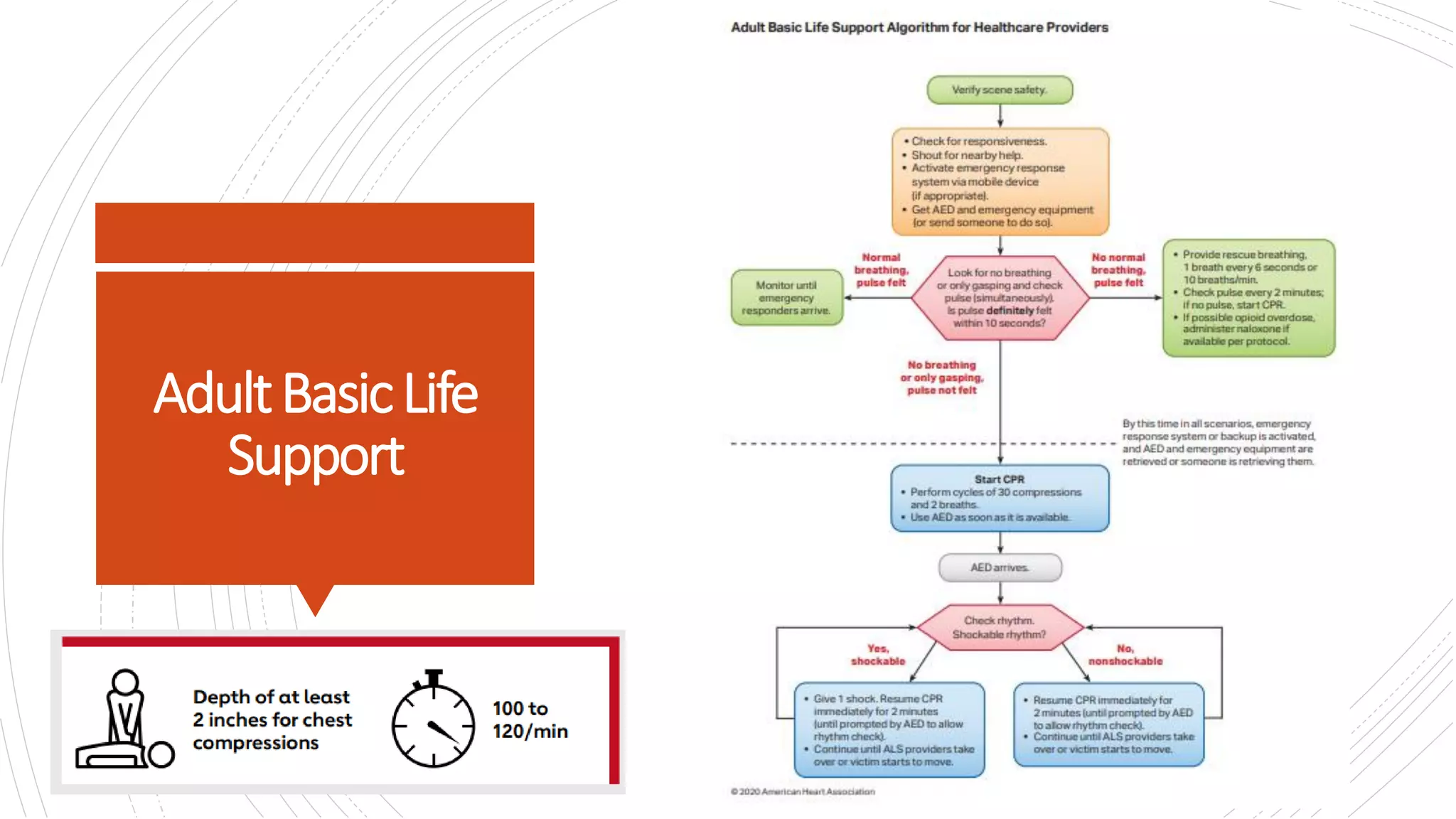 MPDU_Basic Life Support.pdf