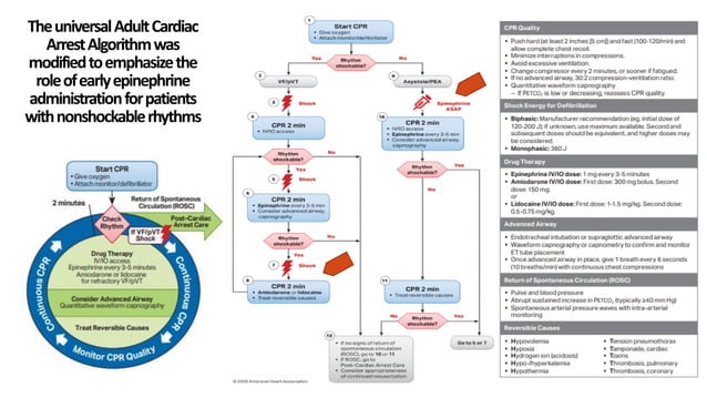 MPDU_Basic Life Support.pdf