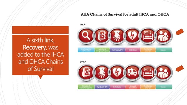 MPDU_Basic Life Support.pdf