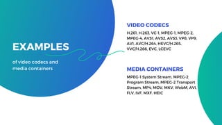 MPEG-4 VS AVC/H.264 VS MP4. What is the difference? | PDF