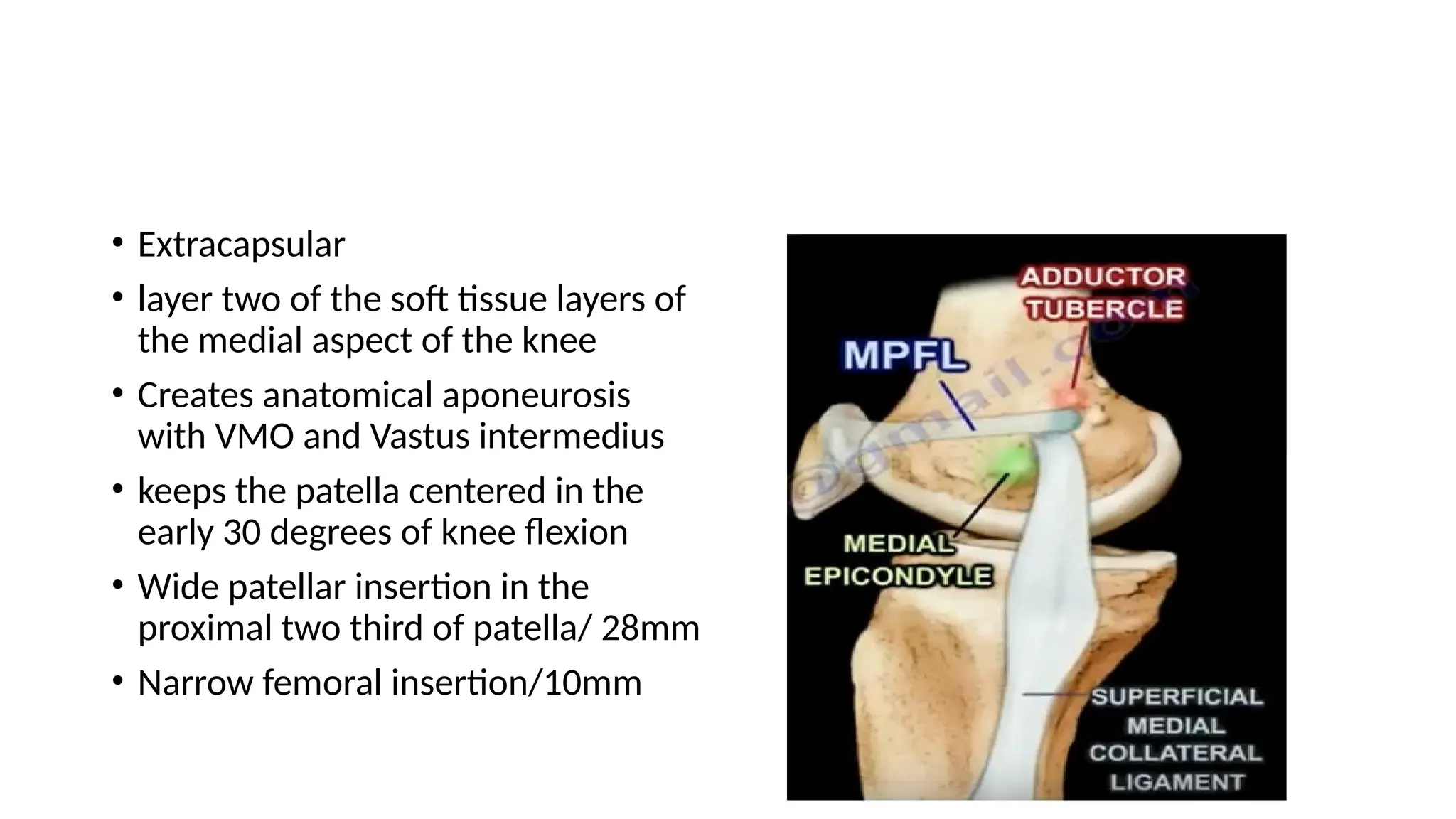 Medial patellofemoral ligament injuries and management | PPTX