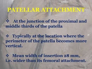 Medial Patellofemoral Ligament (MPFL) reconstruction 2014 | PPTX