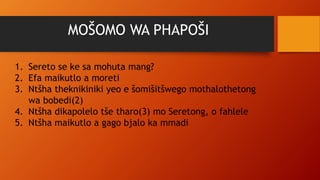 Tshekatsheko ya sereto sa "Hlapa ngwana'mokgalabje" | PPTX