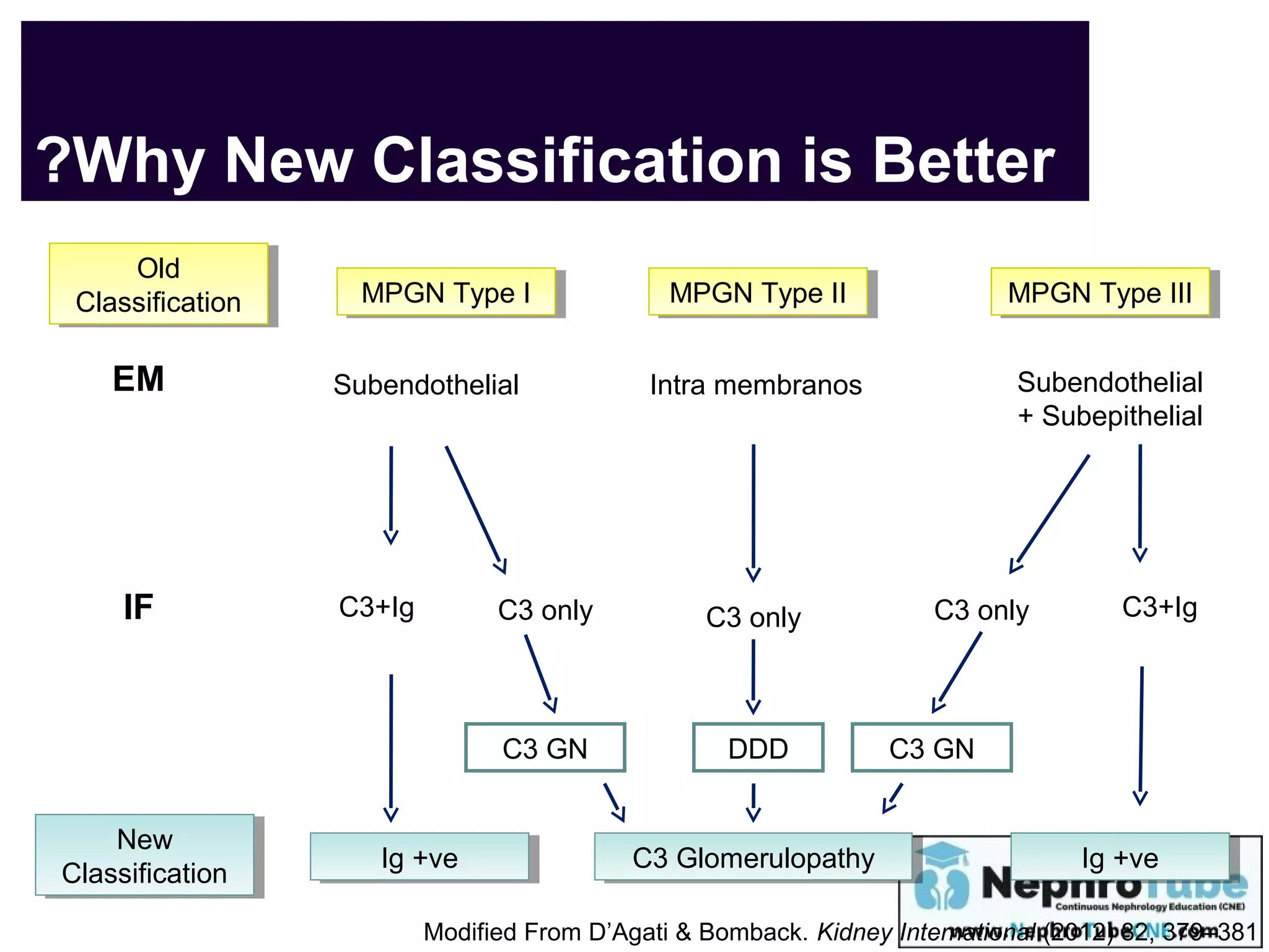 Membranoproliferative GN - Road to Diagnosis & Management - What is the ...