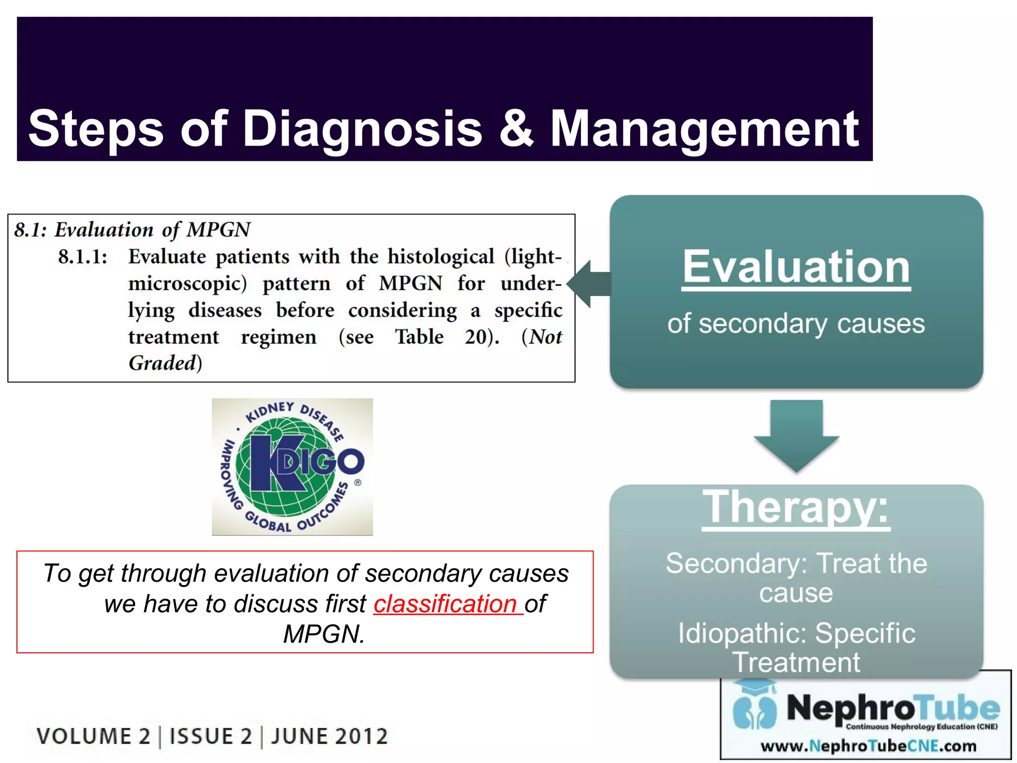 Membranoproliferative GN - Road to Diagnosis & Management - What is the ...