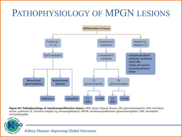 MPGN BY DR SAEED KDIGO 2021 UPDATE GUIDELINES.pptx