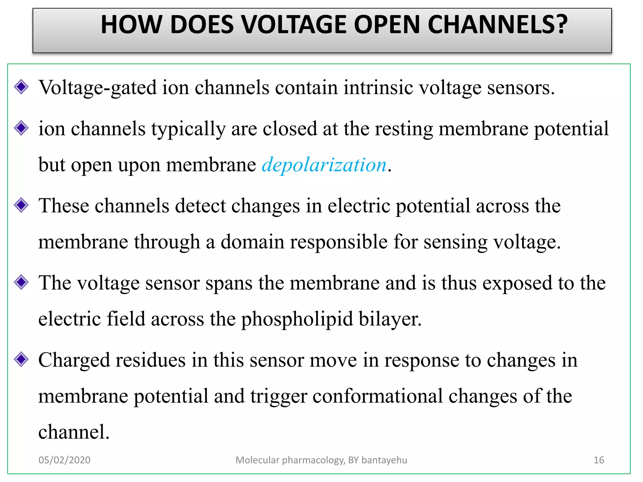 voltage gated ion channel | PPTX