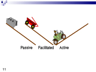 M pharm absorption | PPT