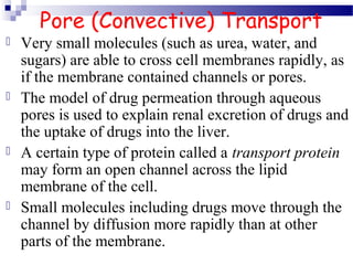 M pharm absorption | PPT