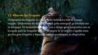 Naledi ya Mphatlalatsane. Tiragatso pptx | PPTX