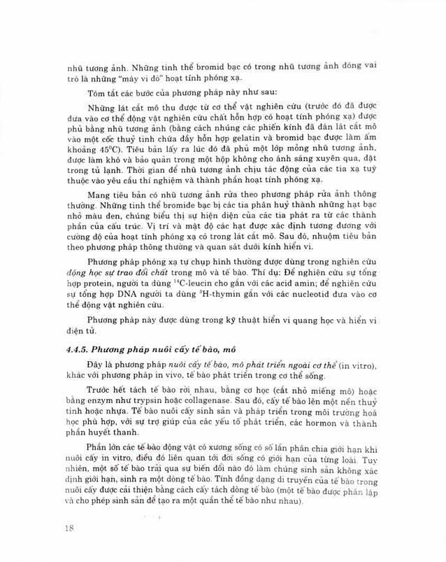 Mô phôi phần mô học byt | PDF