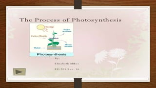 powerpoint presentation of photosynthesis | PPTX