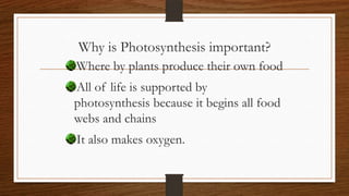 powerpoint presentation of photosynthesis | PPTX