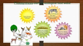 powerpoint presentation of photosynthesis | PPTX