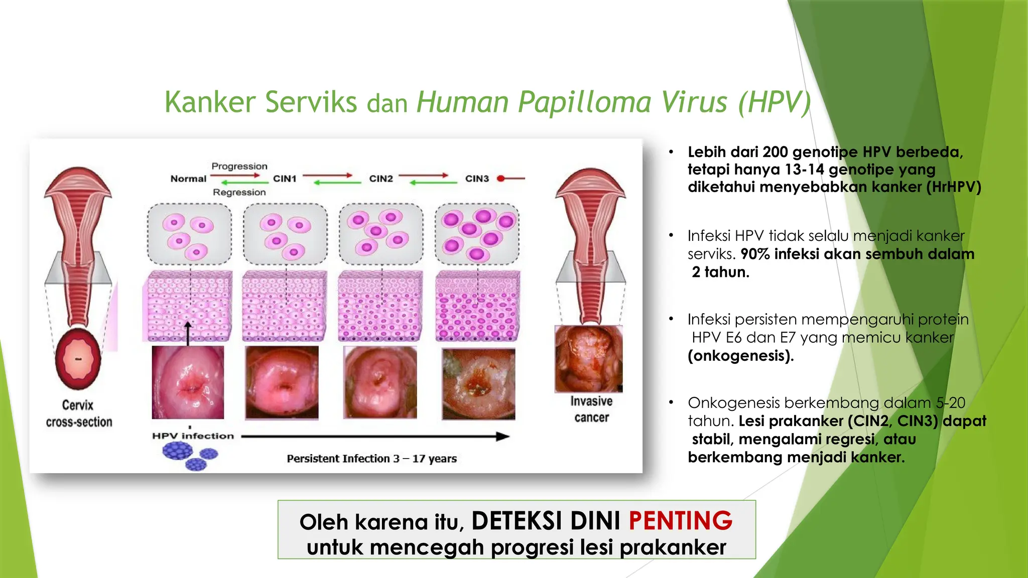 MPI4_DETEKSI DINI KANKER LEHER RAHIM Metode HPV DNA Dan Infeksi Menular Seksual (IMS) .pptx