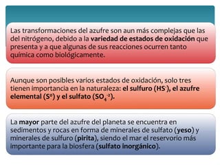 ciclo del azufre | PDF