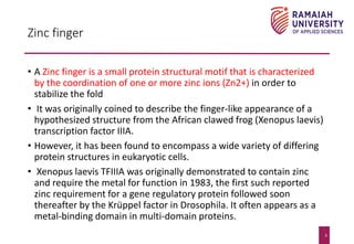 MPL203T_12 Zinc finger.pdf