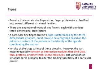 MPL203T_12 Zinc finger.pdf
