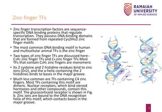 MPL203T_12 Zinc finger.pdf