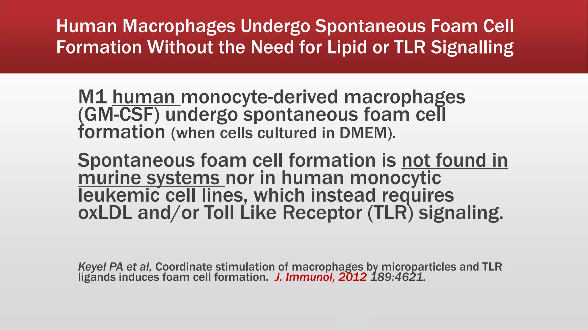 Atherosclerosis: New Insights on Foamy Macrophage Induction and ...