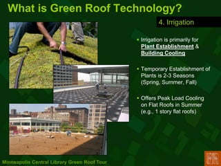 Mpls library-greenroof | PPT