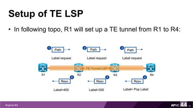 MPLS Traffic Engineering | PDF | Computer Networking | Computing