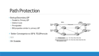 Traffic Engineering Fault Tolerance Using MPLS Routing - Optical Fiber ...