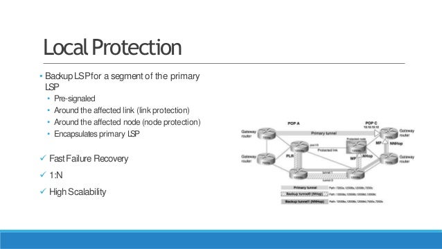 Traffic Engineering Fault Tolerance Using Mpls Routing Optical Fibe…