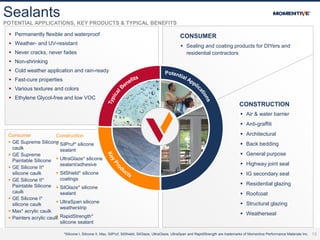 Momentive Company Overview | PPTX