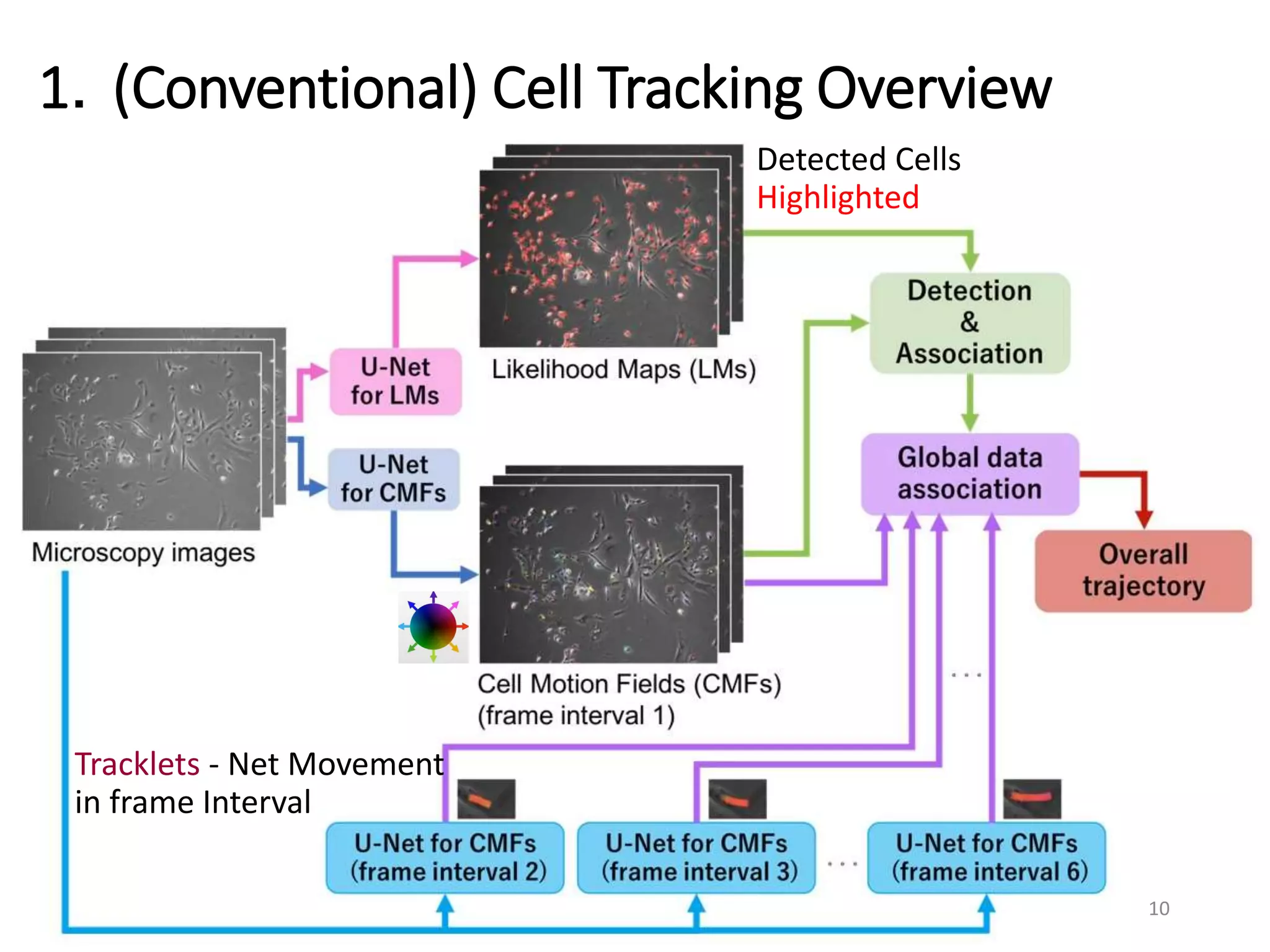 Motion and Position Map in Cell Tracking for Bioimaging | PPTX