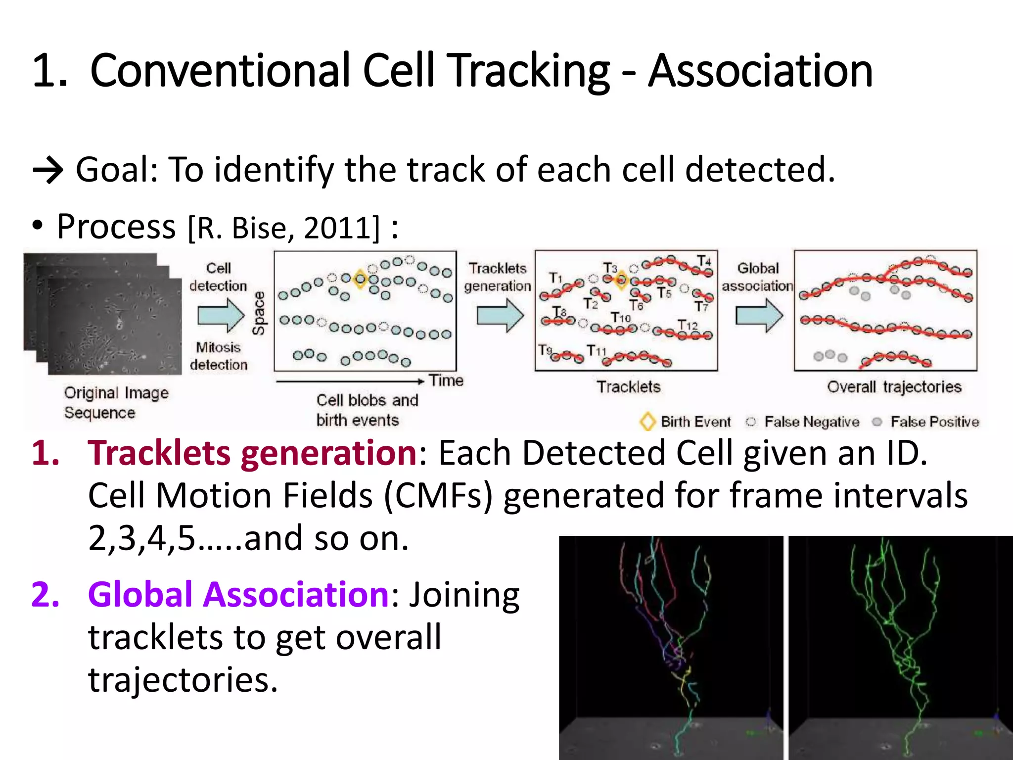 Motion and Position Map in Cell Tracking for Bioimaging | PPTX