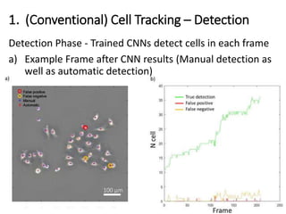 Motion and Position Map in Cell Tracking for Bioimaging | PPTX