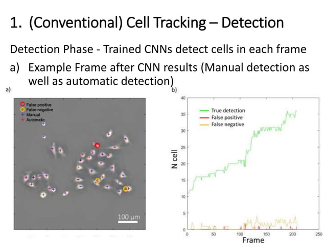 Motion and Position Map in Cell Tracking for Bioimaging | PPTX